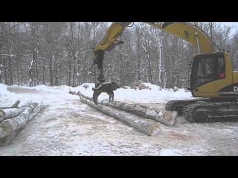 Logging - YouTube