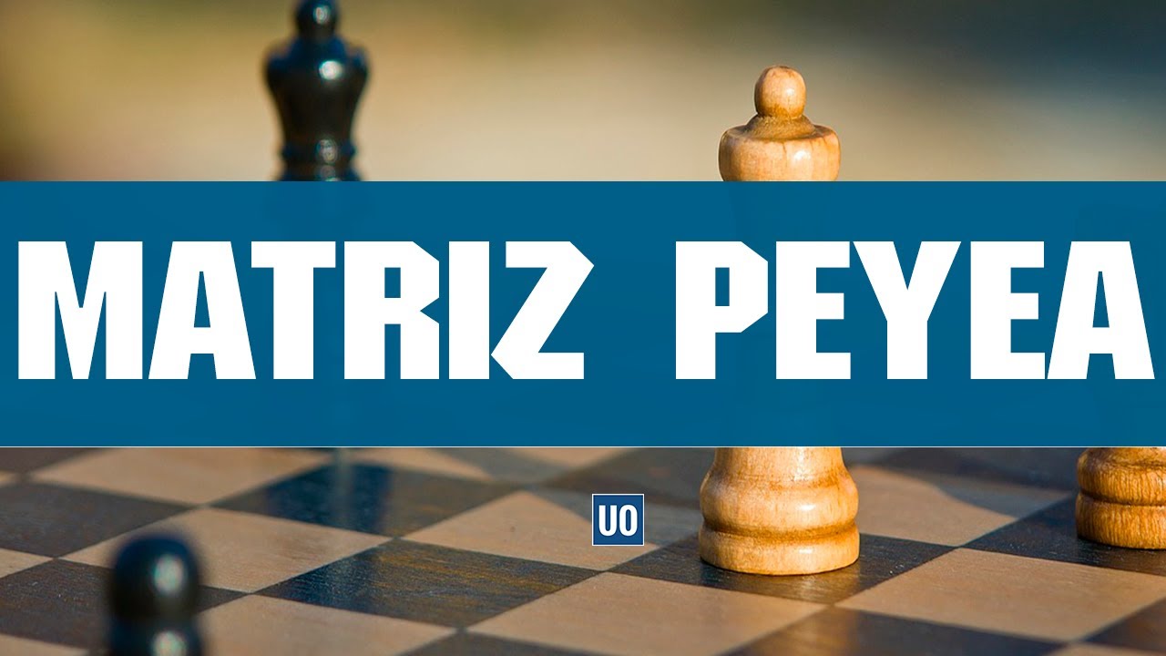 Matriz PEYEA ¿SE TIENE UNA ESTRATEGIA AGRESIVA O DEFENSIVA? - YouTube