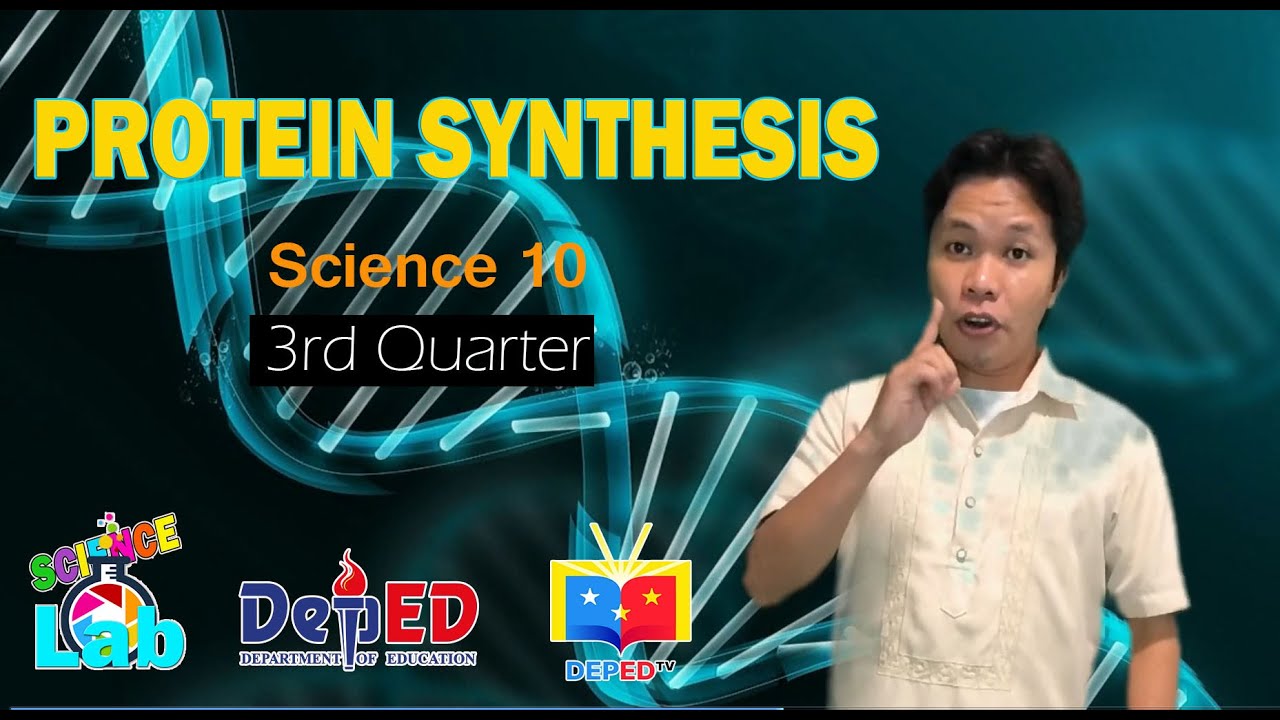 PROTEIN SYNTHESIS | Science 10 3rd Quarter Module 4 - YouTube