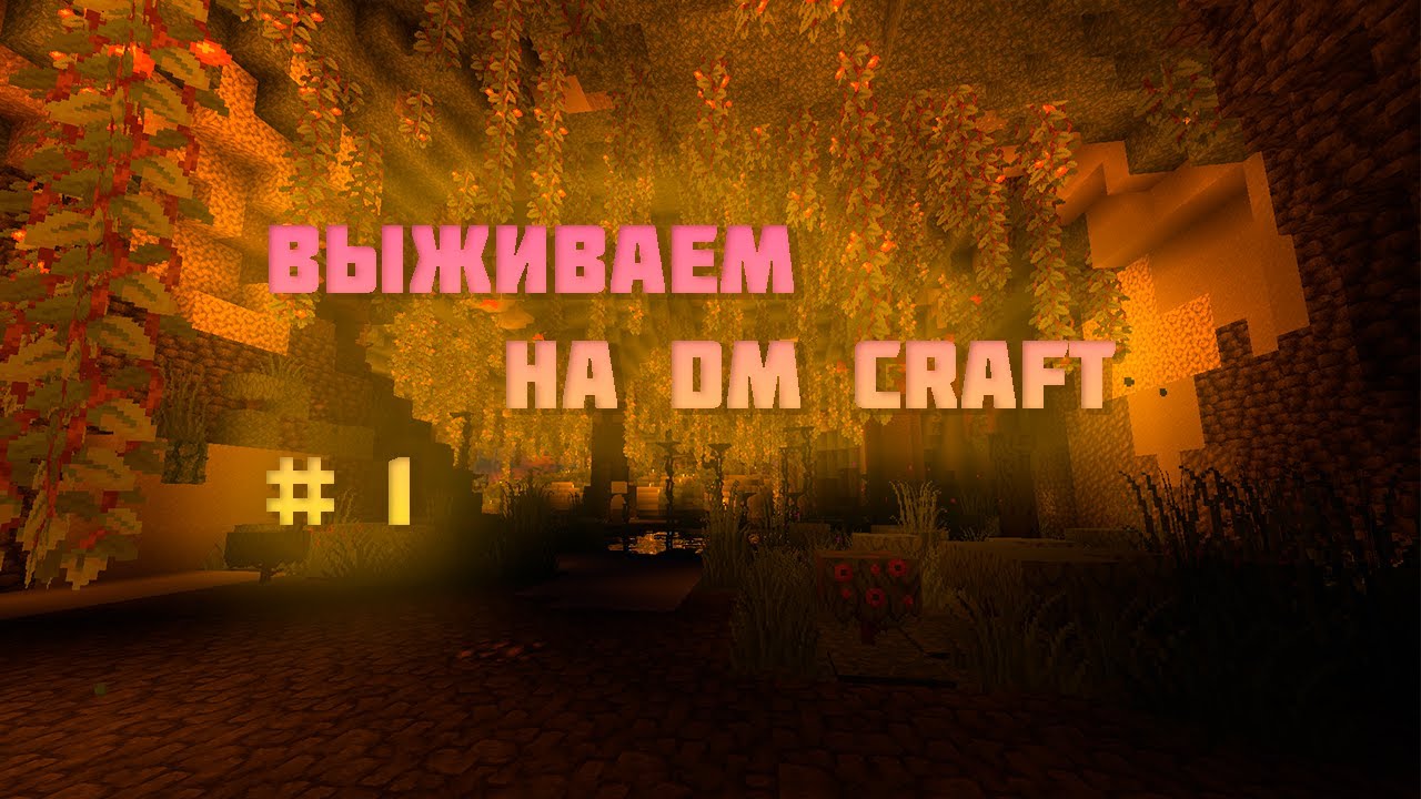 Играем на DM CRAFT :) ВЫЖИВАНИЕ #1 - YouTube
