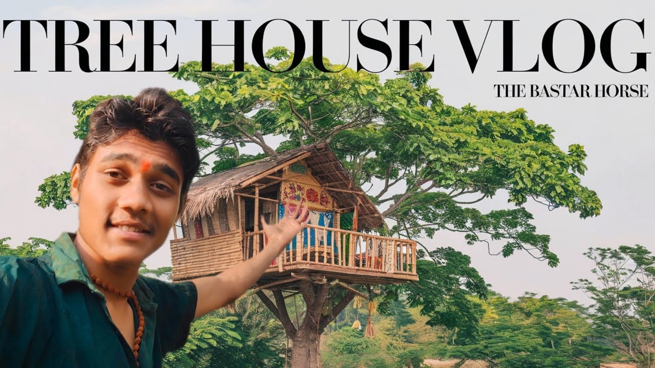 Tree House 🏡 | Bastar | #thebastarhorse - YouTube