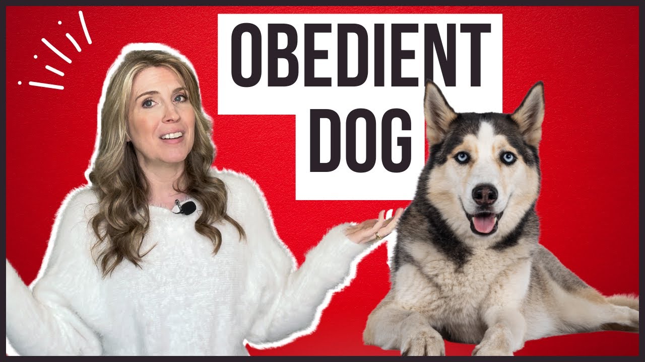 How To Have An Obedient Dog - YouTube
