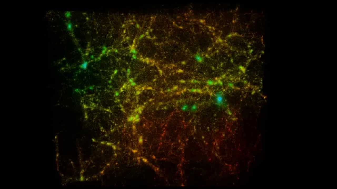 Dark matter particle animation: Halo formation and evolution - YouTube