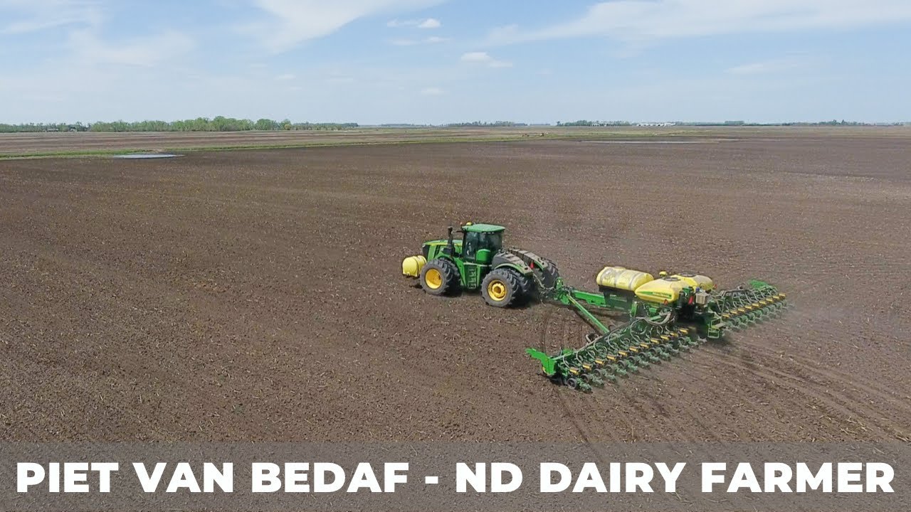 A Day on the Dairy Farm (38) - YouTube