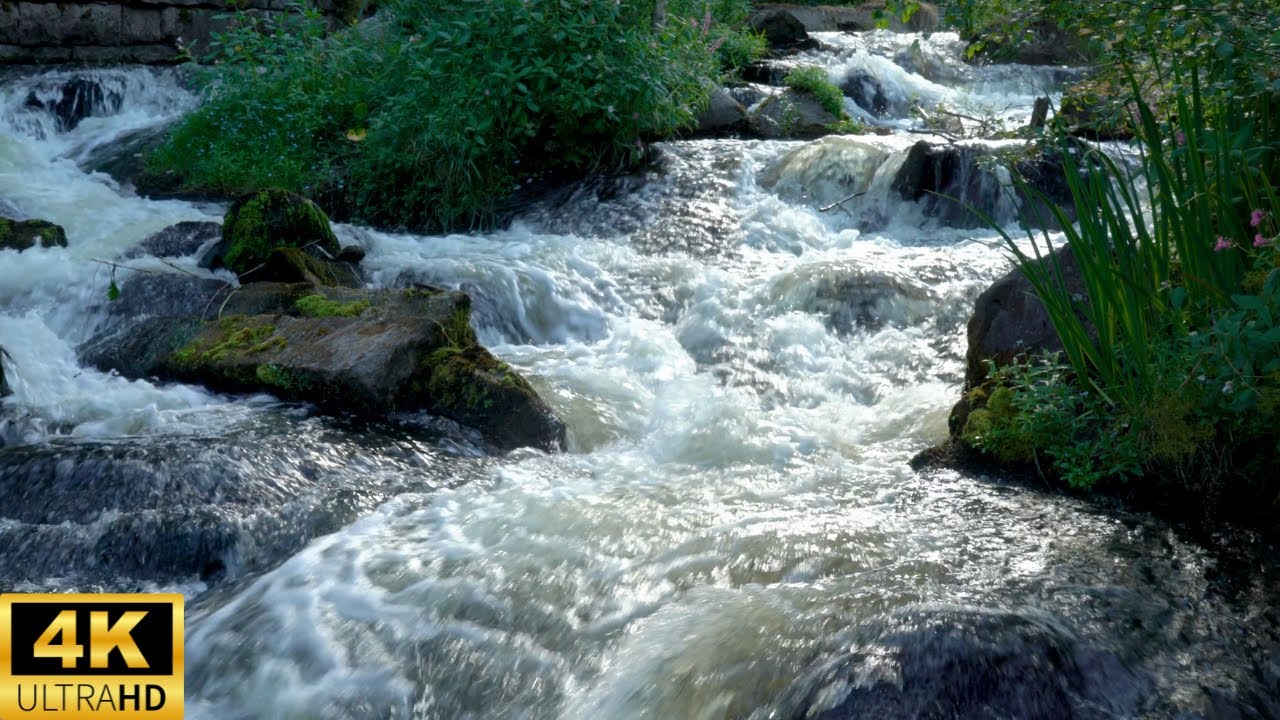Gentle River Flow For Sleep Music, Meditation & ASMR | River Sound ...