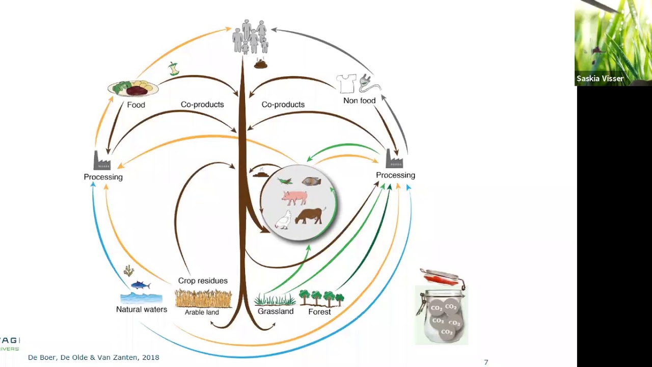 Moving Towards Circular Agriculture: Lessons from The Netherlands - YouTube