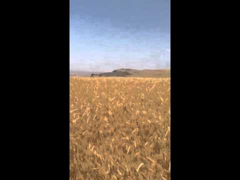 Hüseyin asdfghjklşi