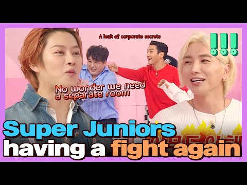 Stop with the text bombing... Super Juniors are having a fight again LOL