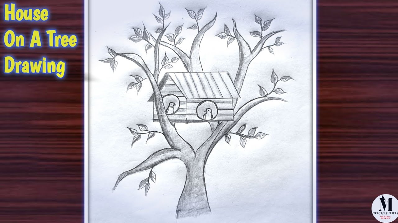 How To Draw A Bird House On A Tree || Easy Bird House Drawing || Mickey ...