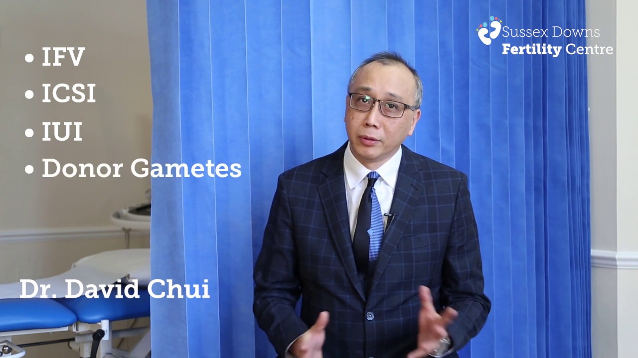 Fertility Treatments with Dr. David Chui - itrust fertility - YouTube