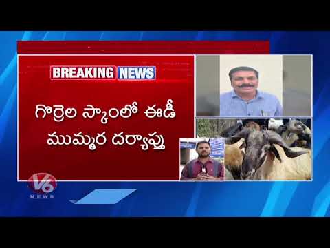 Sheep Rearing Scam  ED Raids At 10 Places in Hyderabad | V6 Digital