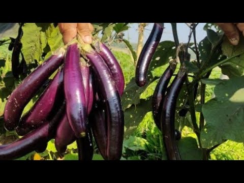 Jhuma Sinha is live! - YouTube