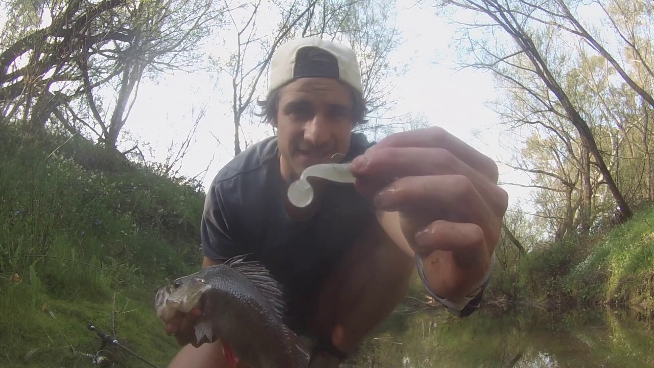 Catching big Redfin + Finding SNAKE at river!! - YouTube