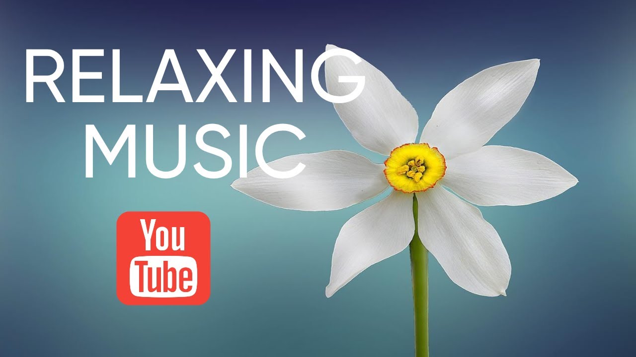 Dive Into A Transcendent Peaceful Soundscape for Focus, Study ...