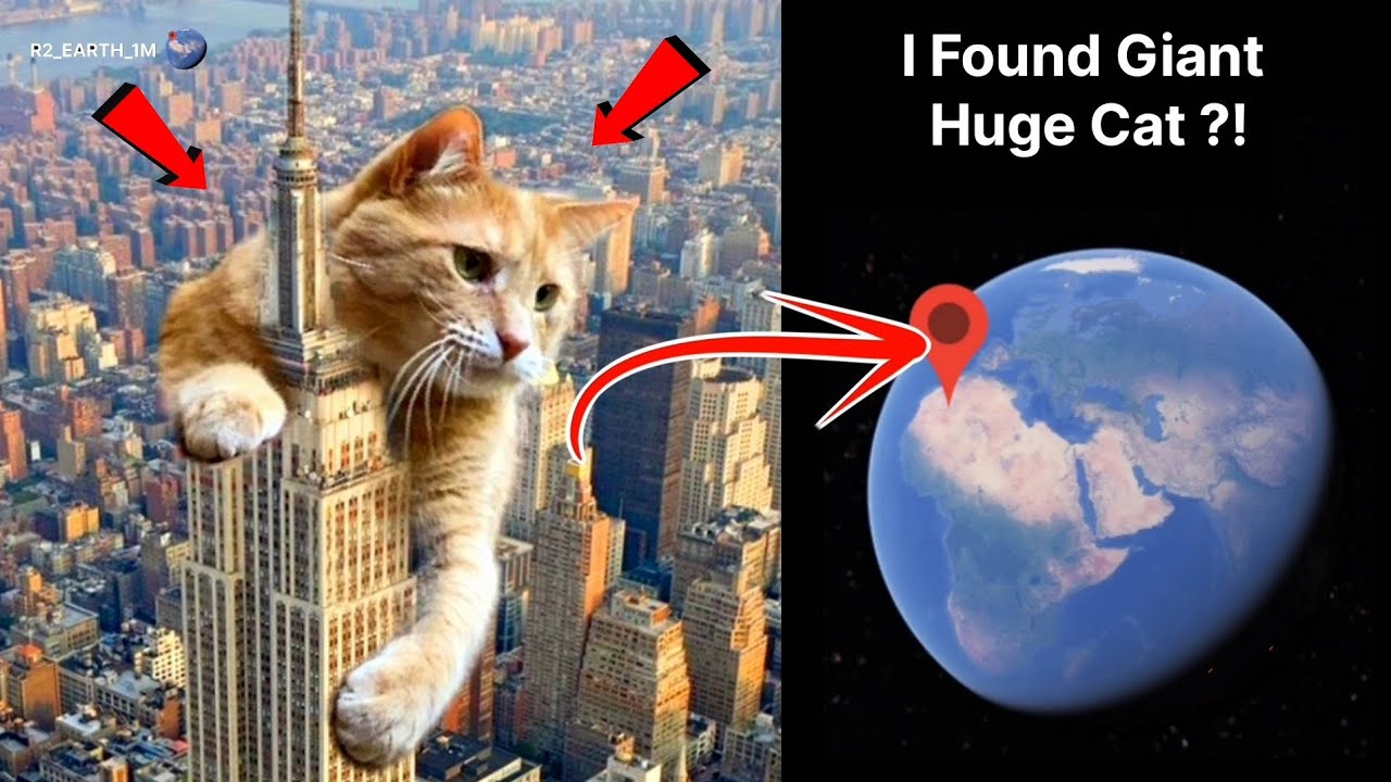I Found Giant Huge Cat ?! Real Google Earth ! - YouTube