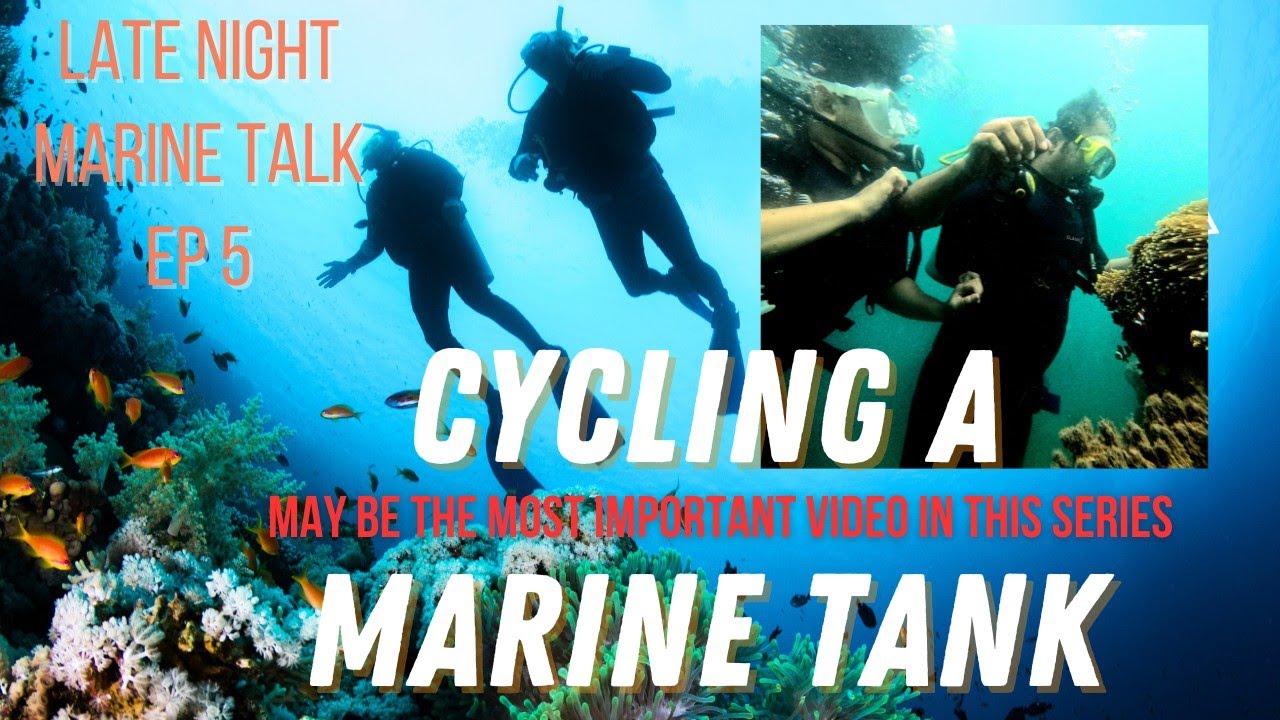 Late Night Marine talk EP 5 : May be the most important topic in marine ...