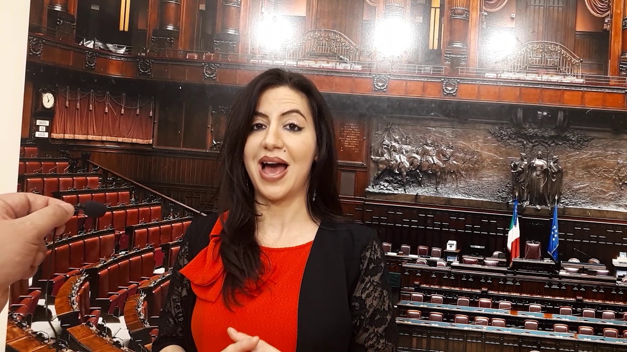 The March 29th referendum on reducing the number of MPs: interview with ...