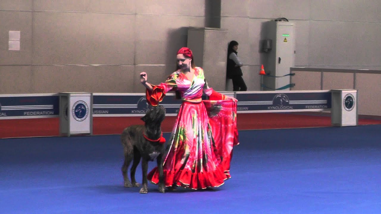 Танцы с собаками "Евразия 2014". Dog Dancing. Canine Freestyle. - YouTube