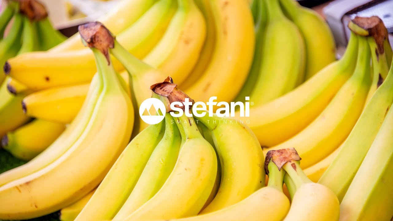 Banana storage and ripening plant - YouTube