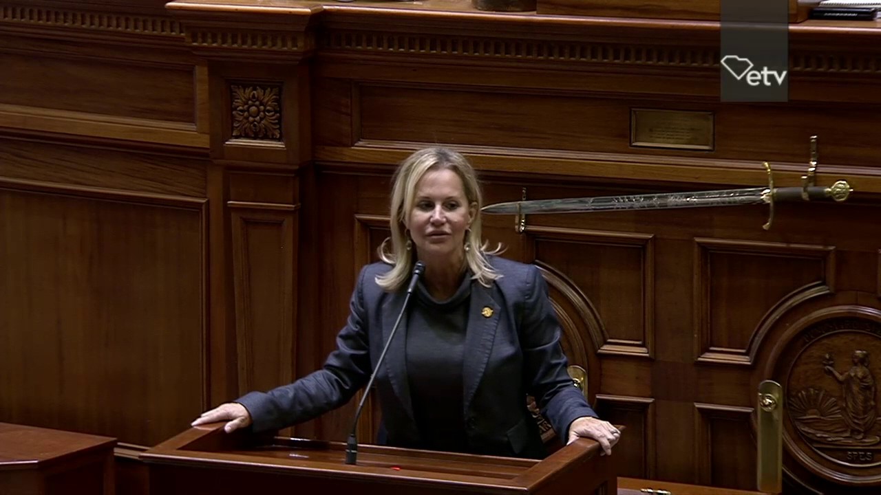 Senator Sandy Senn Introductory Remarks to the Senate - YouTube