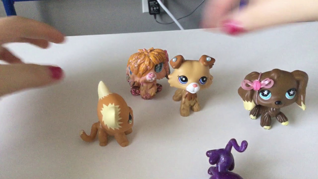 Lps: Collins-Wilson Family Episode 4 Cheer Practice - YouTube