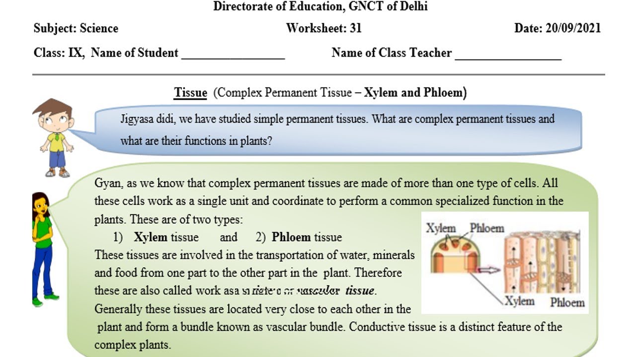 Science Worksheet 31 Class 9 (20/9/2021) English Medium | Worksheet 31 ...
