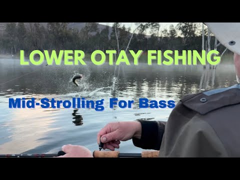 Lower Otay Lake Fishing: Mid-Strolling For Bass