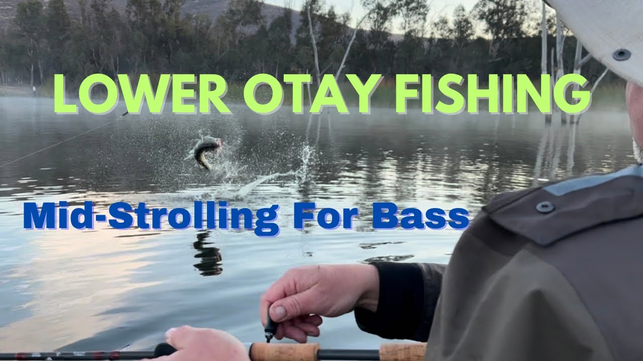 Lower Otay Lake Fishing: Mid-Strolling For Bass - YouTube