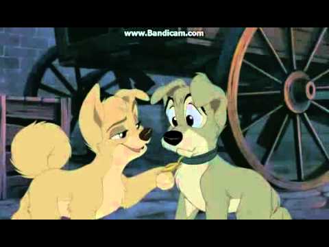 Scamp & Angel || Scamp's Spectacular Fail - YouTube