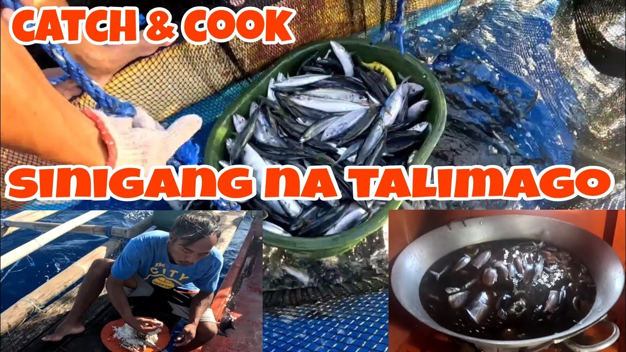 Catch & cook sinigang na talimago sa pacific ocean - YouTube