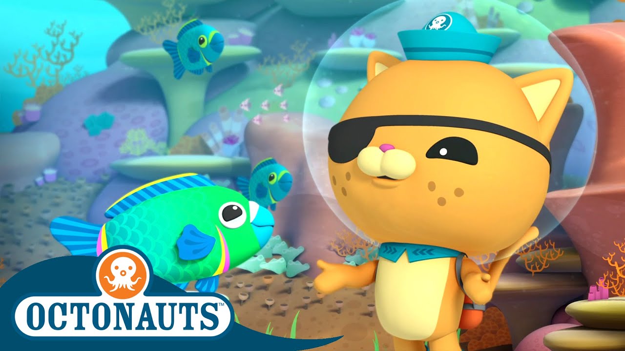 @Octonauts - The Pirate Parrotfish | Full Episode 46 | Cartoons for ...