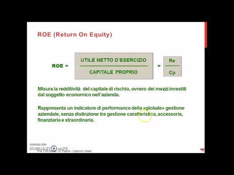 Analisi della redditività d'impresa con gli indici di bilancio il ROE ...