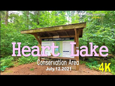 [4K] Heart Lake Conservation Area #1 [2021.07.12] - YouTube