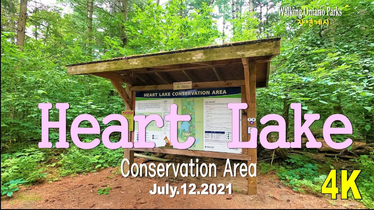 [4K] Heart Lake Conservation Area #1 [2021.07.12] - YouTube