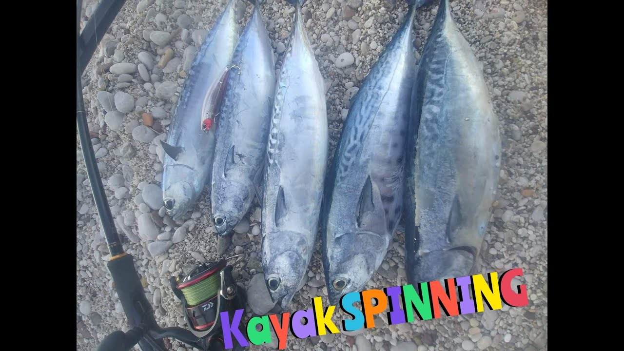 ΨΑΡΕΜΑ απο ΚΑΓΙΑΚ ΄΄ΧΙΟΝΙΣΜΕΝΟ΄΄ SPINNING ΓΙΑ ΤΟΝΑΚΙΑ!! KAYAK FISHING ...