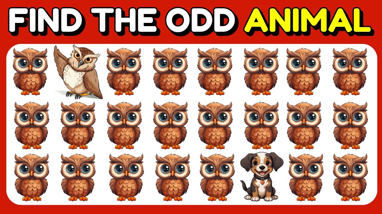 Find The Odd One Out - More Animals Edition 🐕 🦉| Quiz Psychic - YouTube