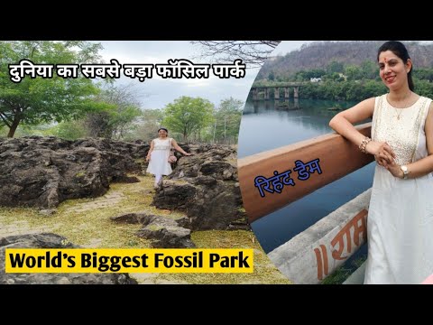 Visited World's Biggest Fossil park/Rihand dam/ Van Devi Temple in ...