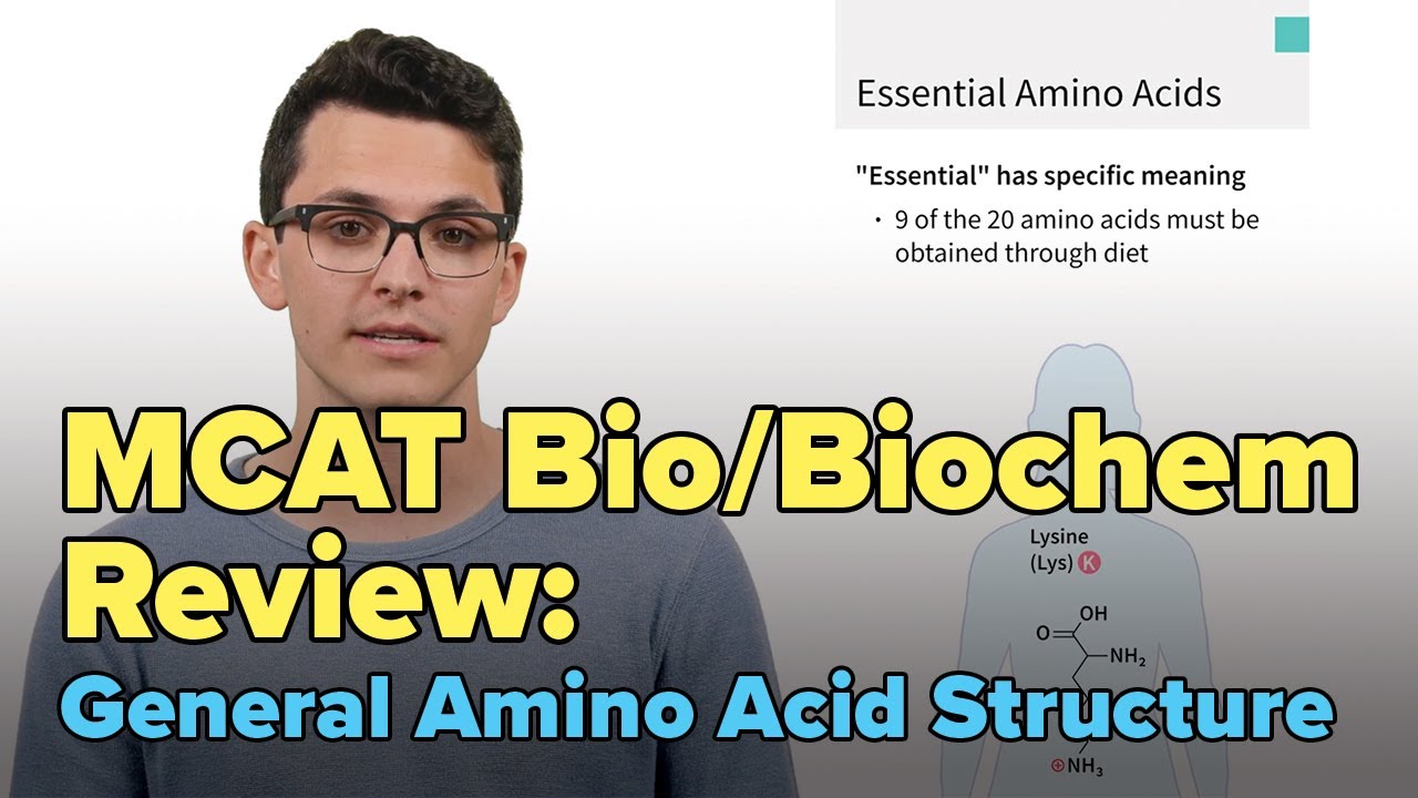 MCAT Amino Acids Review | What Are Amino Acids? | Essential Amino Acids ...