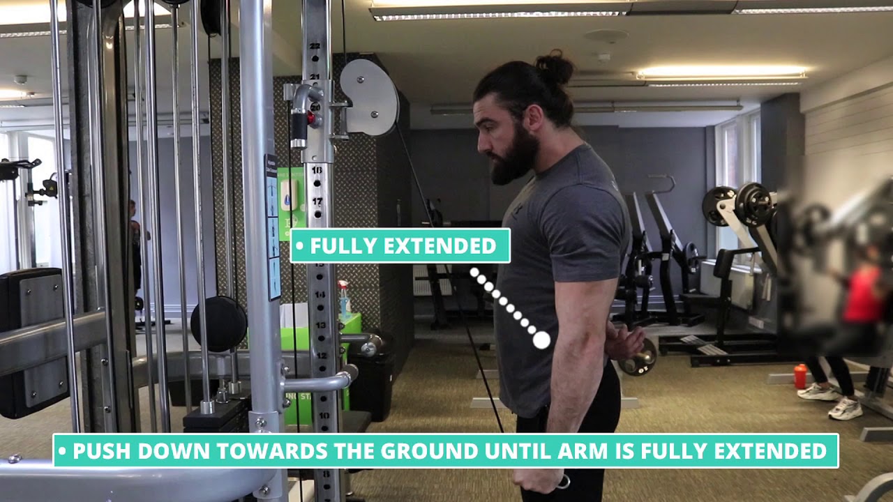 How To Do Triceps Pushdown (Single Arm) | Exercise Demo - YouTube