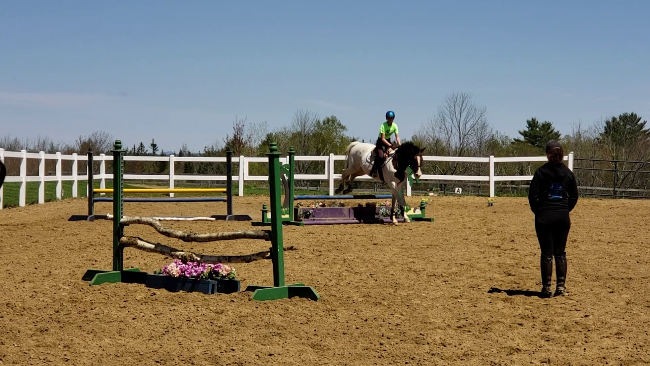 Seahorse Stables (Belfast, Maine): Lesson with Checkers - YouTube