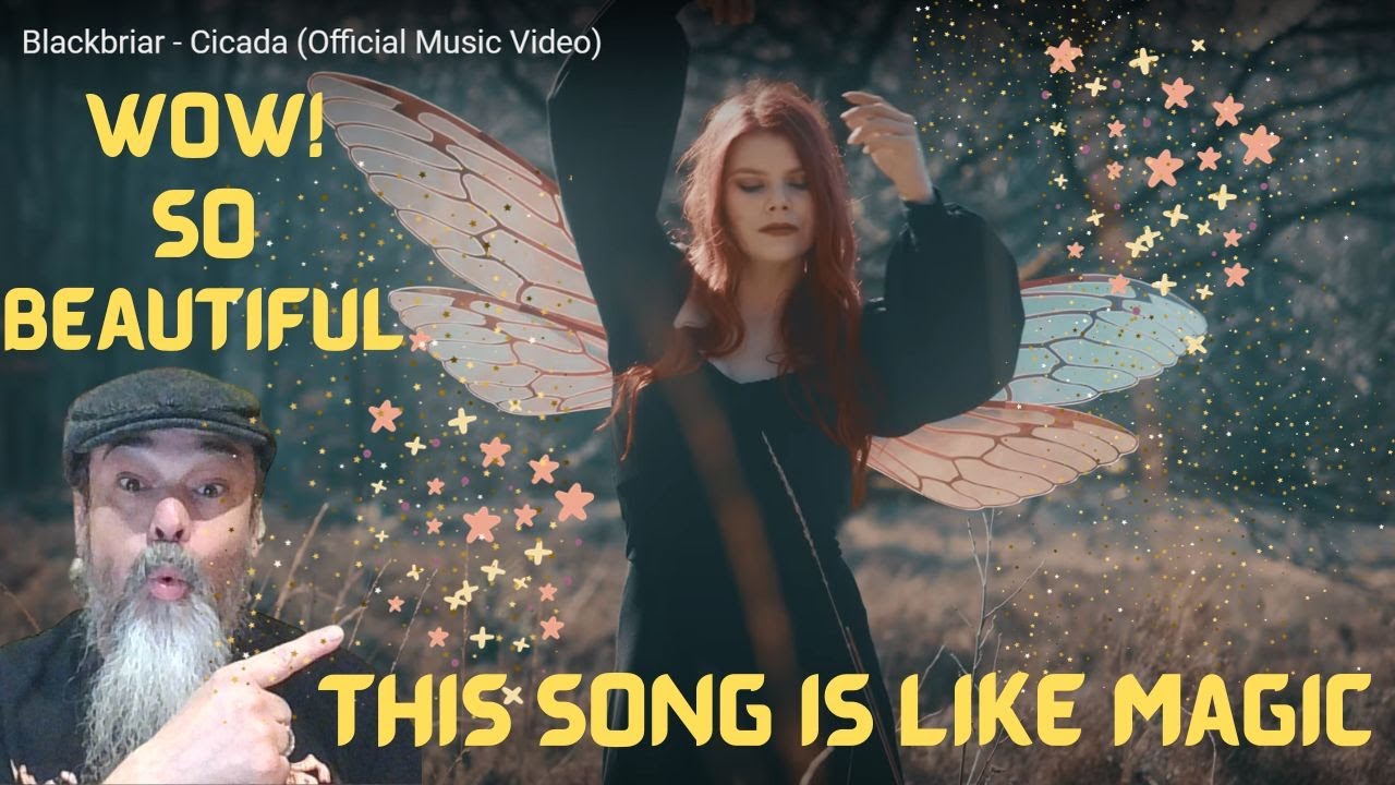 Metal Dude*Musician (REACTION) - Blackbriar - Cicada (Official Music ...