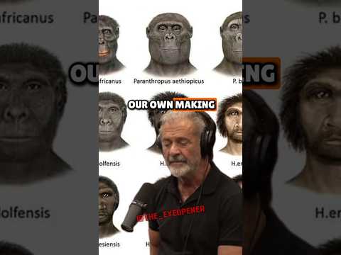 Mel Gibson's Shocking Take on Evolution & Creation | Joe Rogan Experience