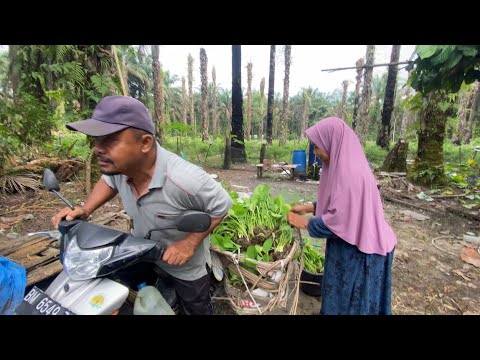 MANG IHIN JADI JURAGAN GENJER 😂 - YouTube