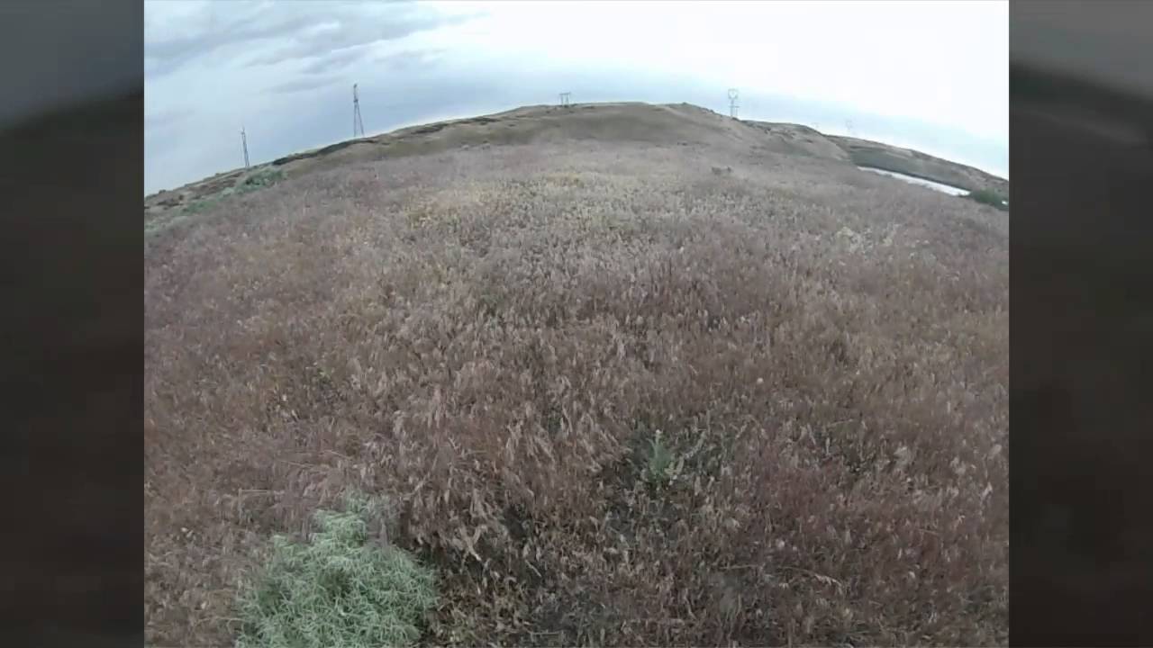 Powerline Lake Largemouth '16 - YouTube