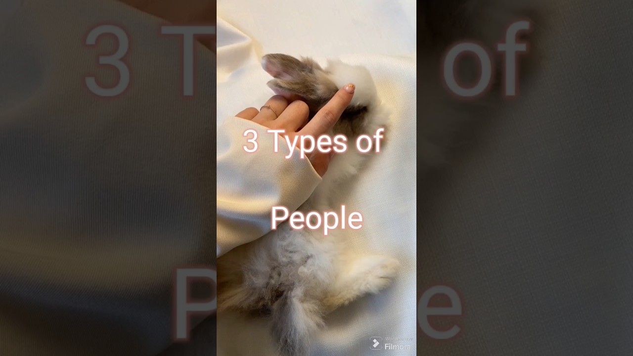 3 Types of People - Tree analogy #psychology #youtubeshorts #shorts # ...