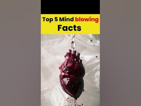 Top 5 Mind Blowing facts ||🔥Wait For End ||#trending #shorts #viral - YouTube