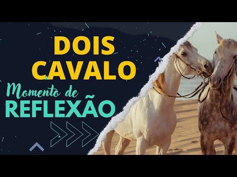 DOIS CAVALO - MOMENTO DE REFLEXÃO / PR. DILVANI NUNES