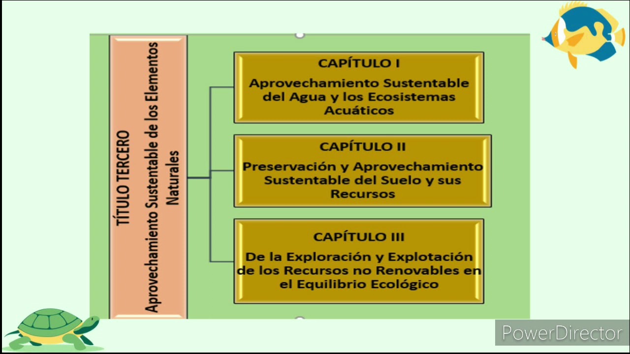 Ley general del equilibrio ecológico y protección al ambiente. - YouTube