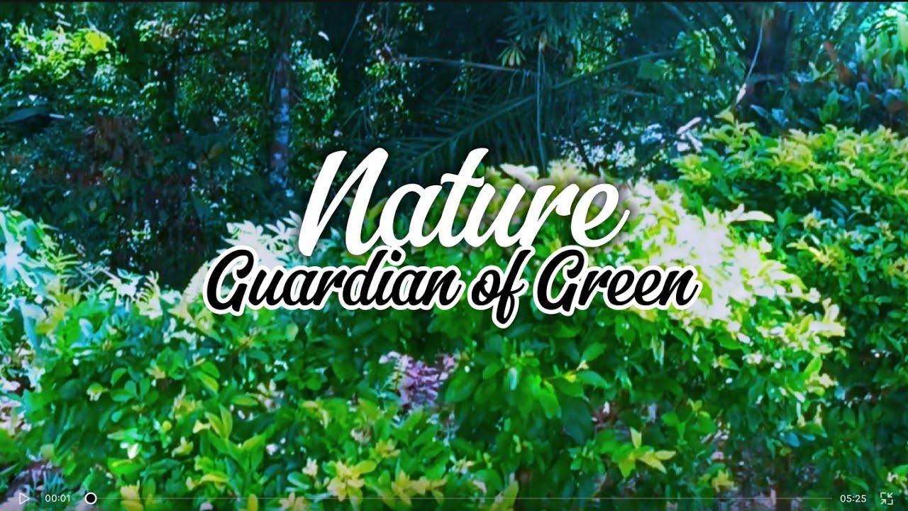 Mini Documentary - Nature: Guardian of Green - YouTube