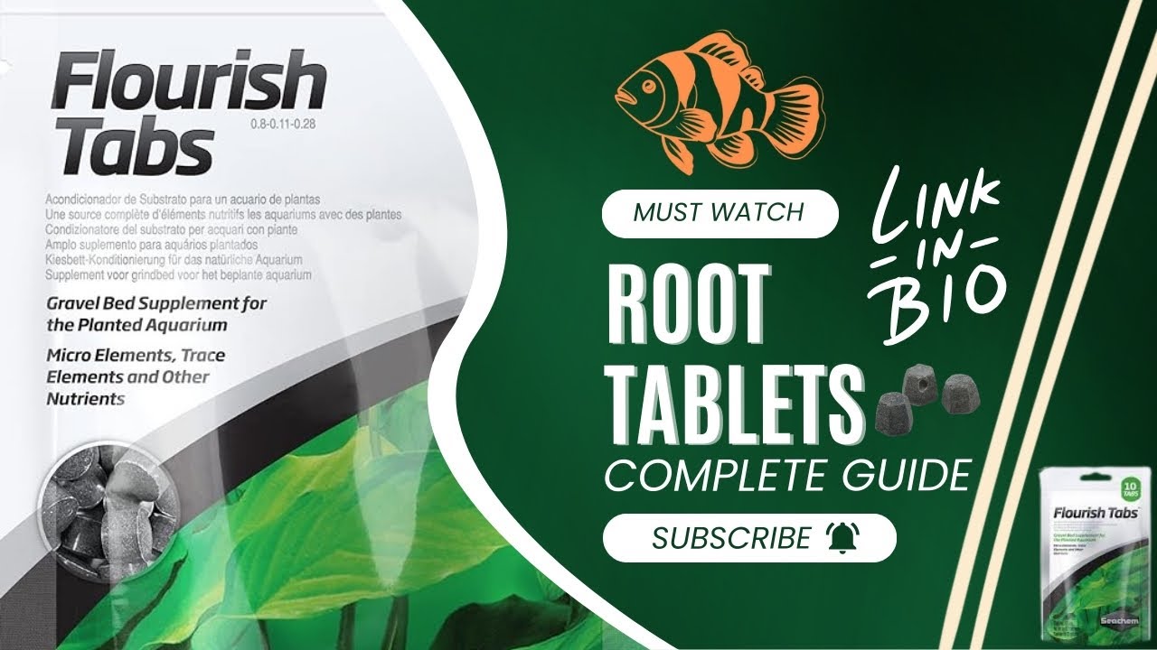 How to Use Root Tabs for Thriving Aquarium Plants | Complete Guide ...